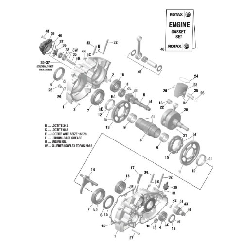 Rotax DD2 EVO Parts Diagrams Archives - Acceleration Kart Racing