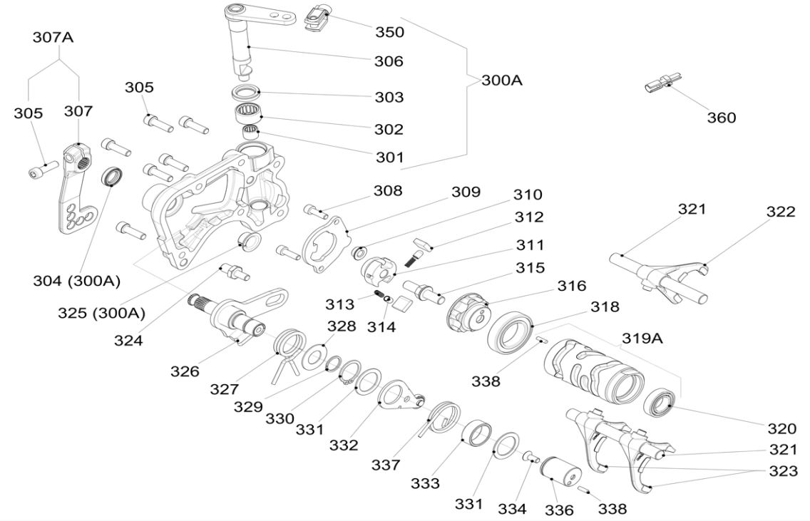175cc Selector Archives - Acceleration Kart Racing