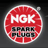 NGK BR10EG Spark Plug